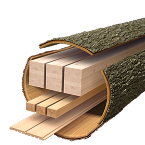 Holver Romania | Lemnul este lumea noastra