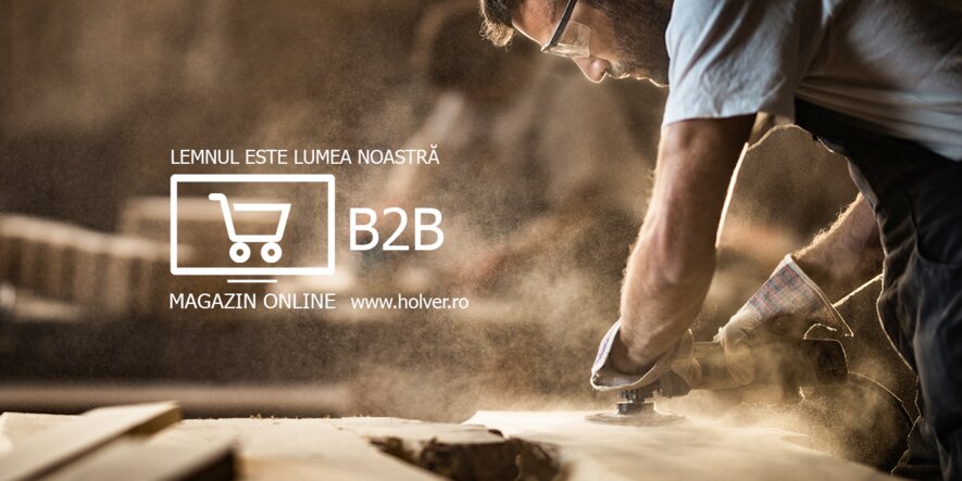 Holver Romania | Lemnul este lumea noastra