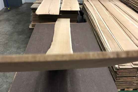 Willkommen im JAF-Magazin | J. u. A. Frischeis