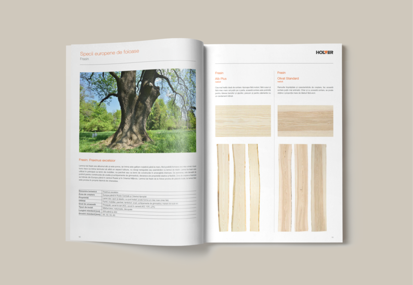 Stejar Lemn Masiv | Holver