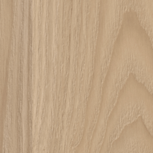 Kupite online compact ploče| J. u. A. Frischeis | J. u. A. Frischeis