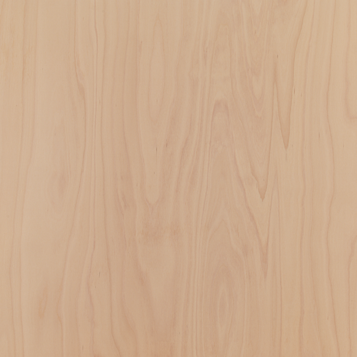 Sperrplatte Multifine Buche B/BB 23-fach EN314-2/KL3 Premium, 70 %